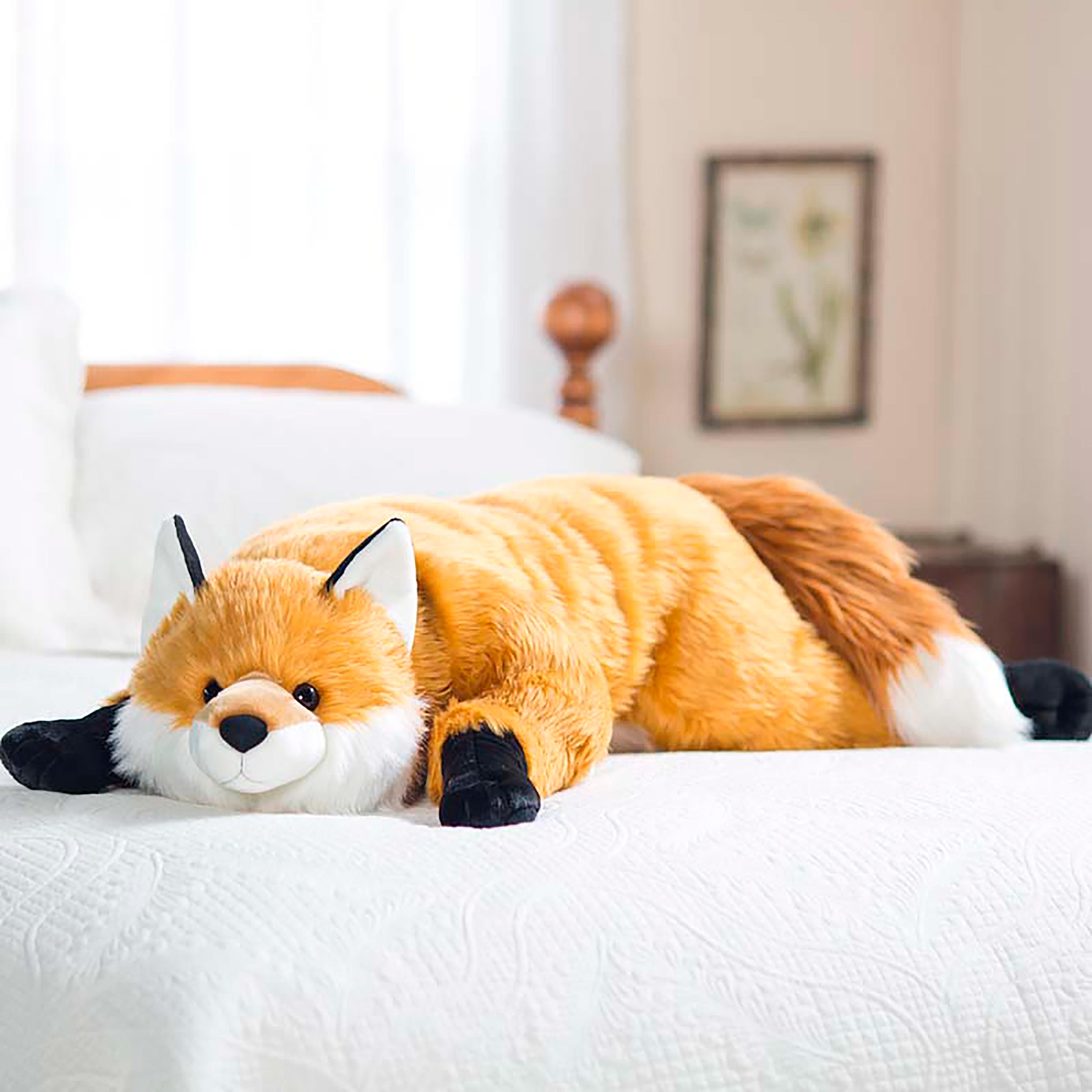 A playful fox that decided it had to have my croc. Fox are known to ...
